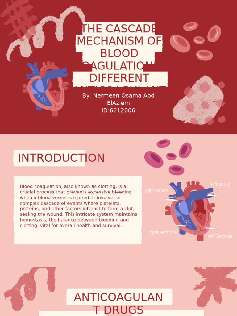 The Cascade Mechanism of Blood Coagulation & Different Anticoagulant ...