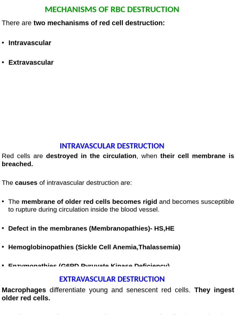 4-Rbc & Its Destruction | PDF | Blood | Hematology