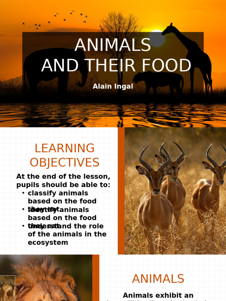 Orange and Black Realistic Science Animals and Their Food Educational ...