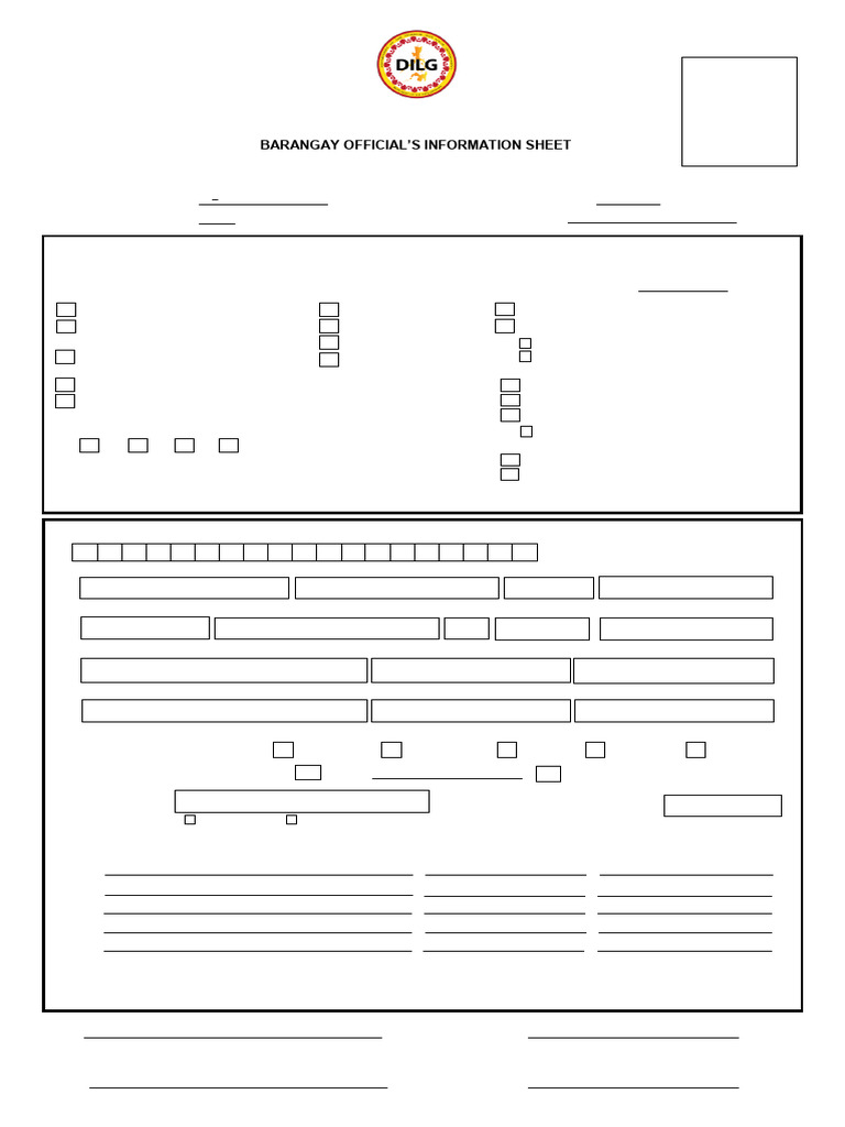 BOIS UPDATED fORM Lambunao 1 | PDF