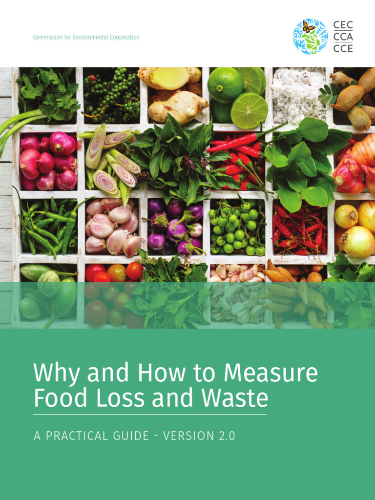 Why and How Measure Food Loss and Waste Practical Guide Version 20 ...