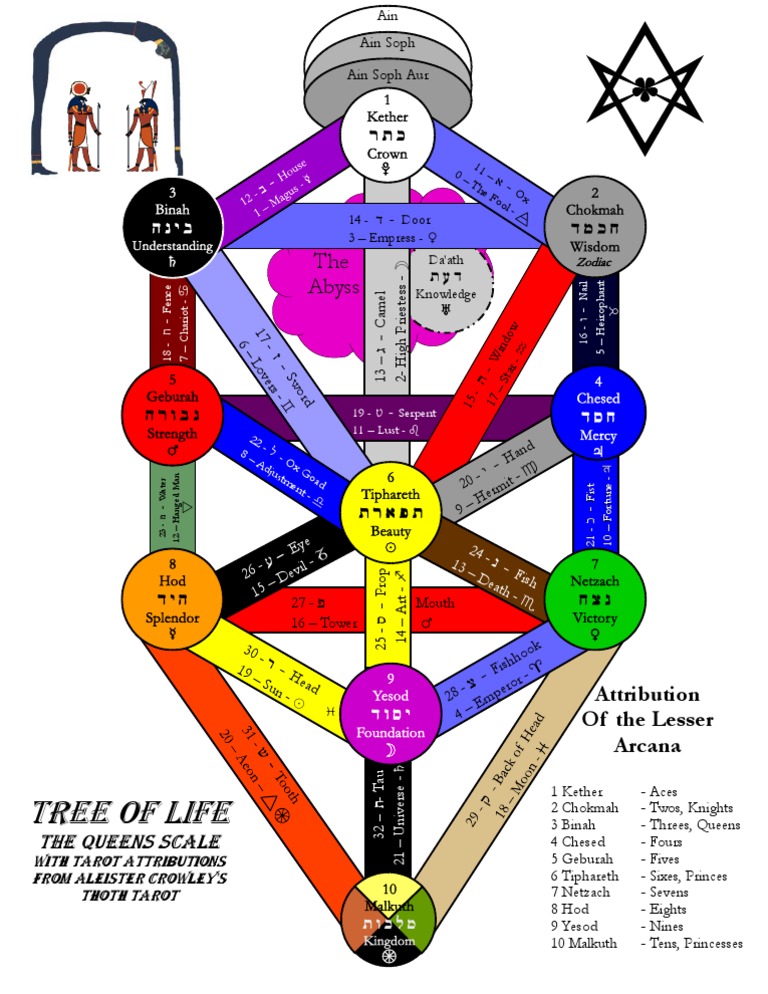Tree of Life | PDF