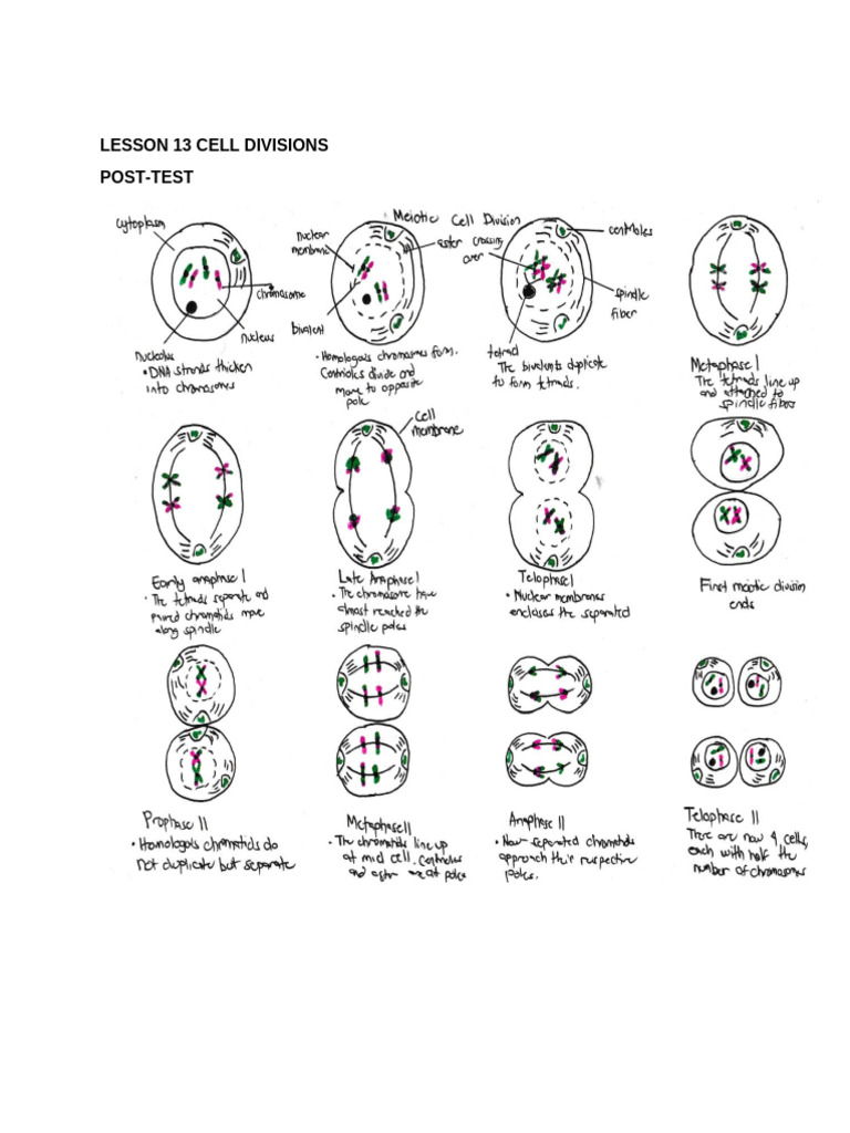 Lesson 13 Post-Test | PDF