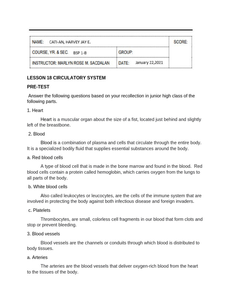 Lesson 18 Circulatory System | PDF