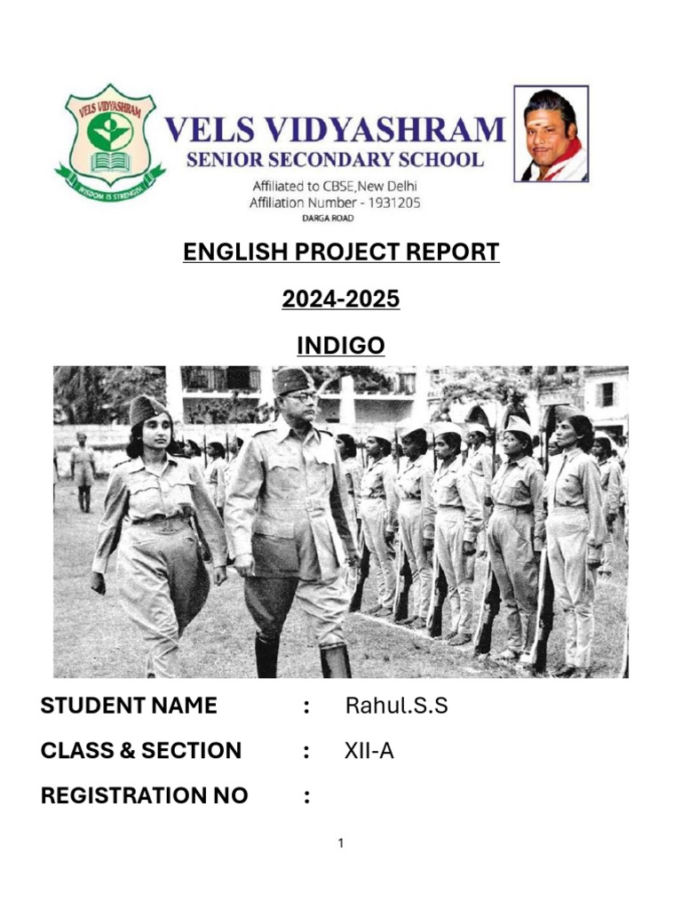 English Project Report 2024-2025 Indigo | PDF