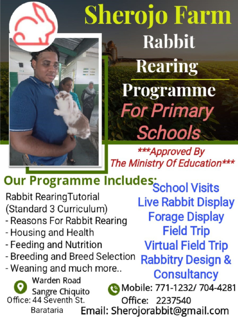 Primary School Flyer | PDF