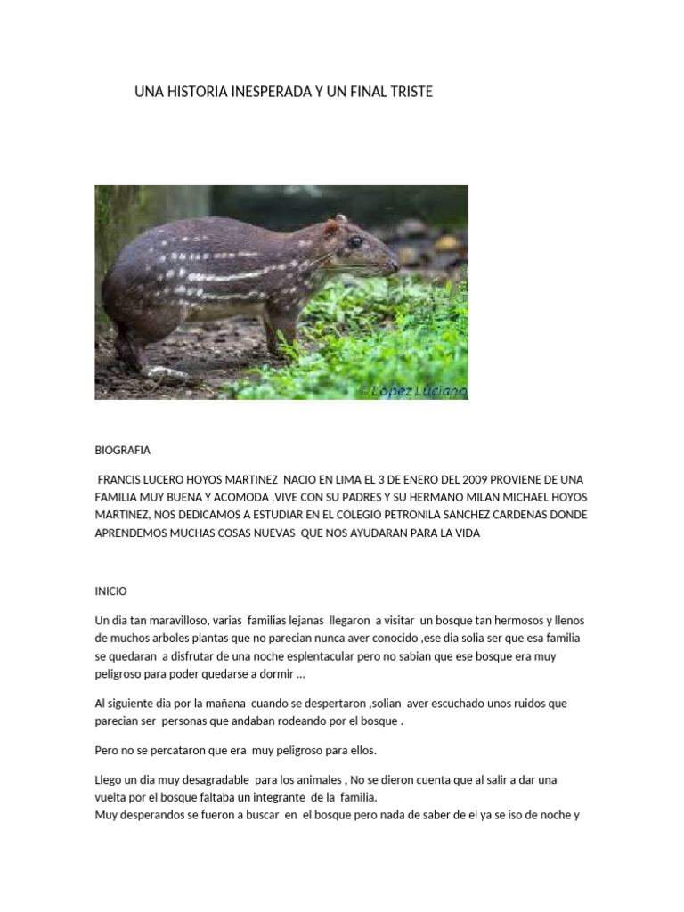 Una Historia Inesperada y Un Final Triste | PDF