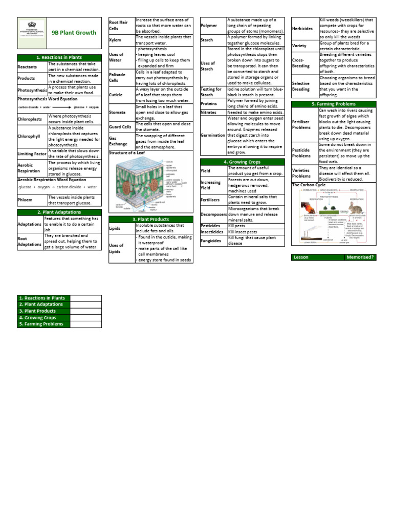 9B Knowledge Organiser PFR | PDF | Photosynthesis | Plants