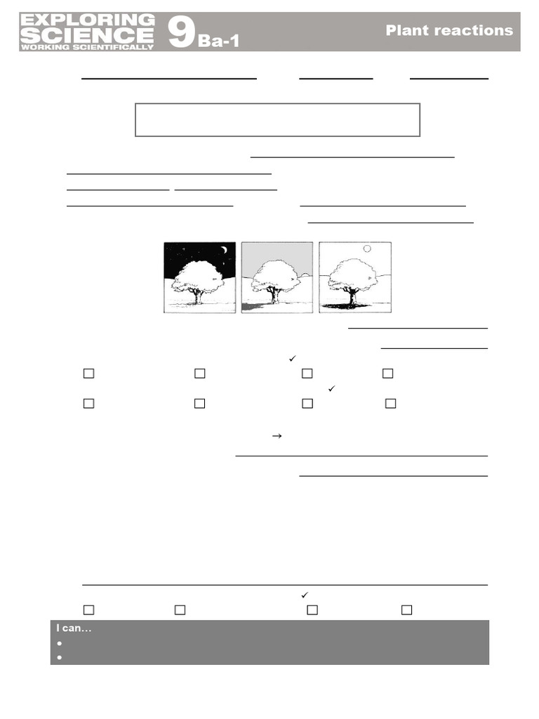 9ba-1 Quick Quiz Plant Reactions | PDF | Photosynthesis | Biology