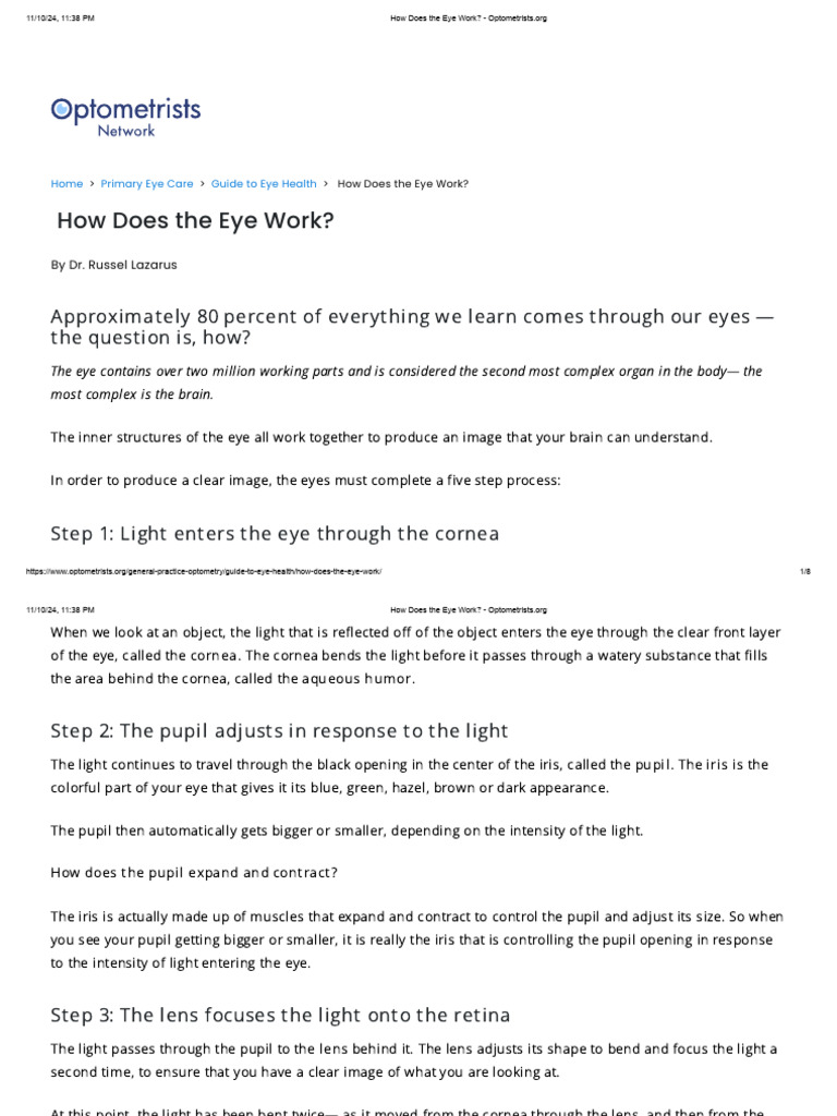 How Does The Eye Work | PDF | Eye | Retina