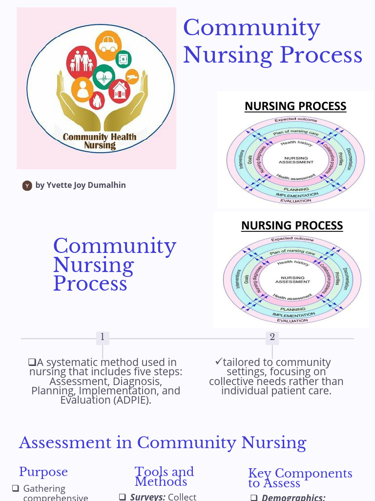 Community Nursing Process Asessment and Diagnosis | PDF | Mortality ...