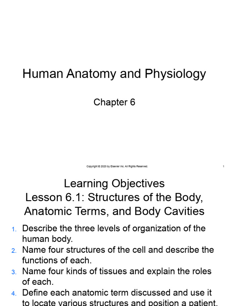 Aws4 - Request&x Amz Expires 60&X Amz Signature | PDF | Anatomical Terms Of Motion | Endocrine ...