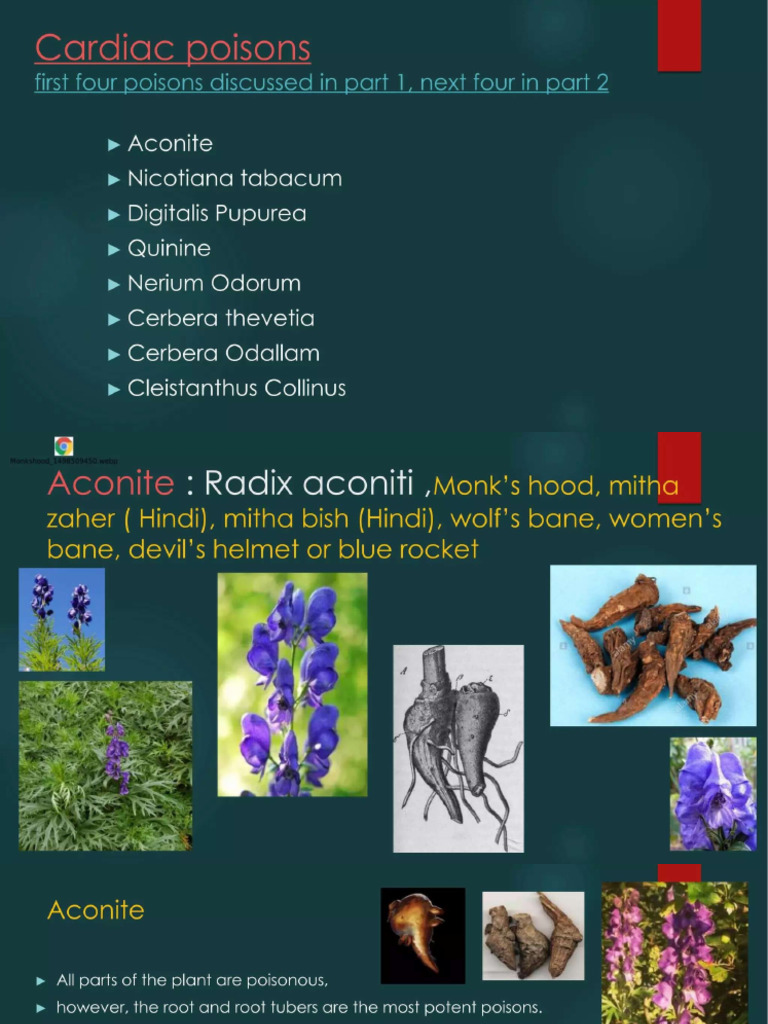 Cardiac Poison | PDF