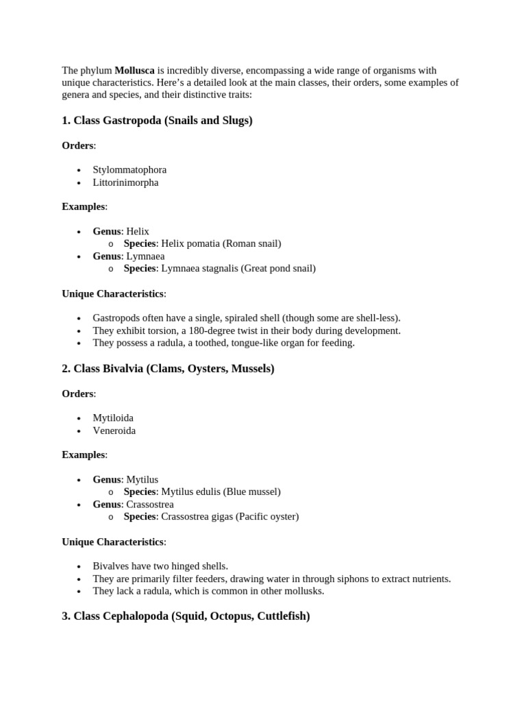 Mollusca Classes and Characteristics | PDF | Mollusca | Bivalvia