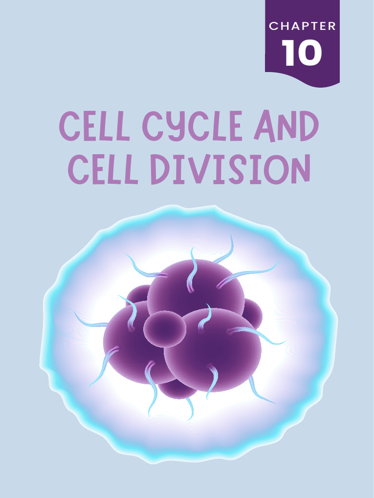 Understanding Cell Cycle and Division | PDF | Meiosis | Mitosis