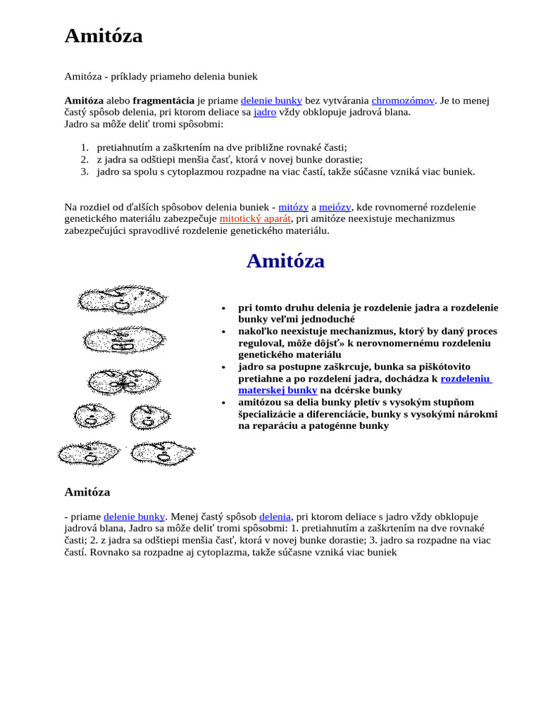 Amitóza | PDF