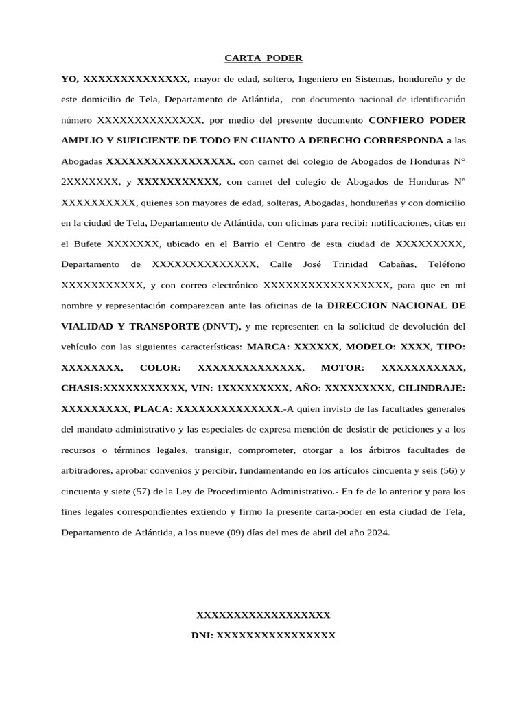 Carta Poder Formato | PDF | Derecho