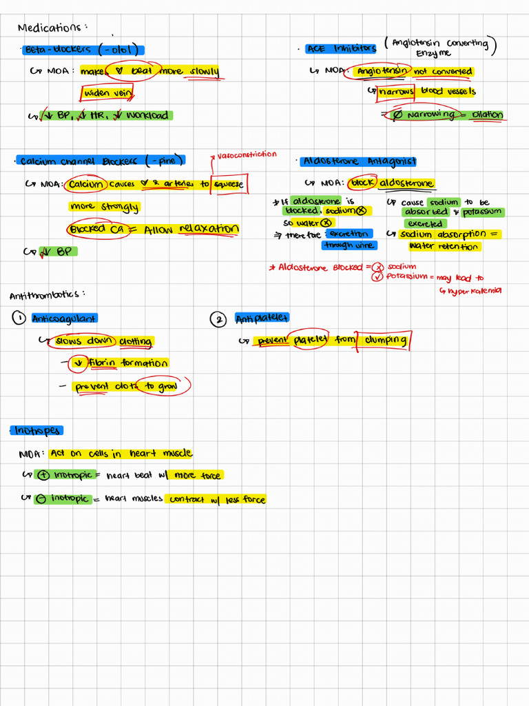 Electrolytes Notes | PDF