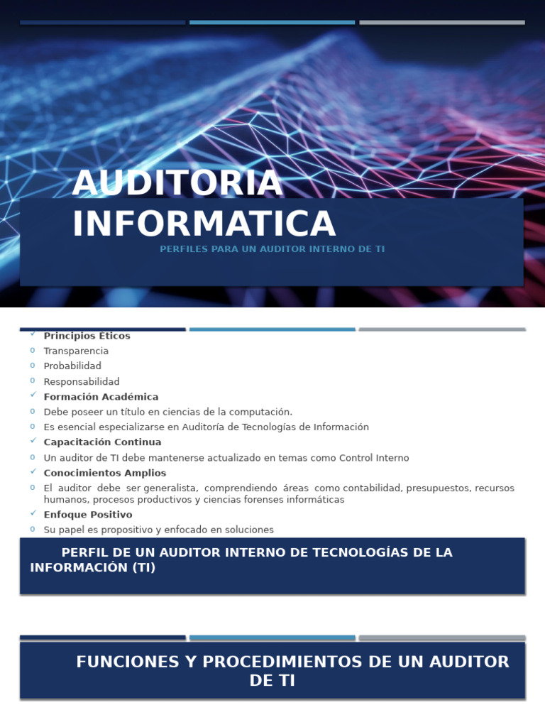 Perfil y Funciones del Auditor de TI | PDF