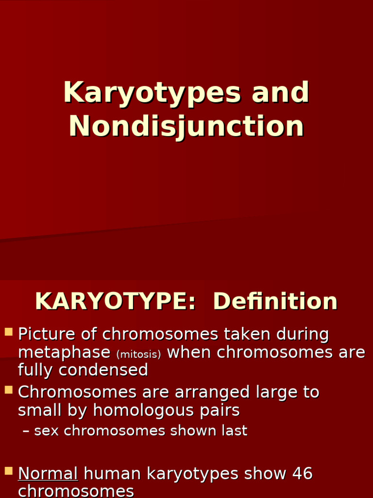 Notes Karyotypes Nondisjunction | PDF | Science & Mathematics