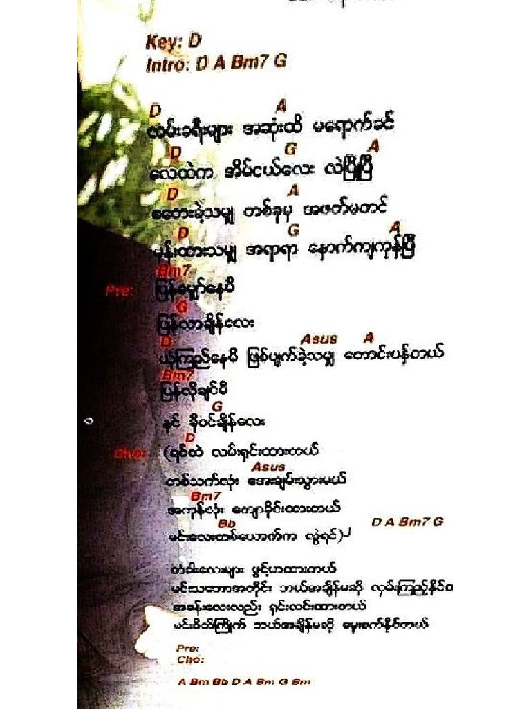 PDFReader 20241121 2138 | PDF