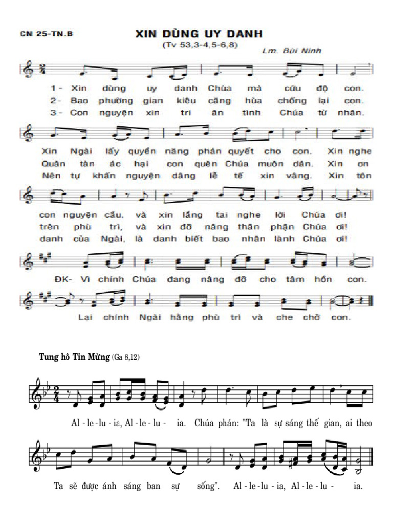 Dap Ca Chua Nhat 25B | PDF