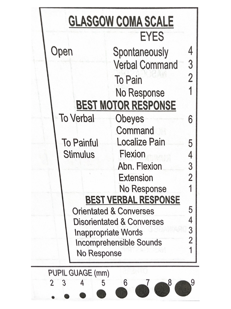 GCS Scale | PDF