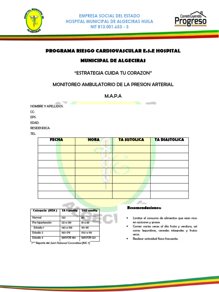 Formato Mapa RCV | PDF