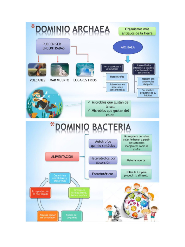 Los 3 Dominios | PDF