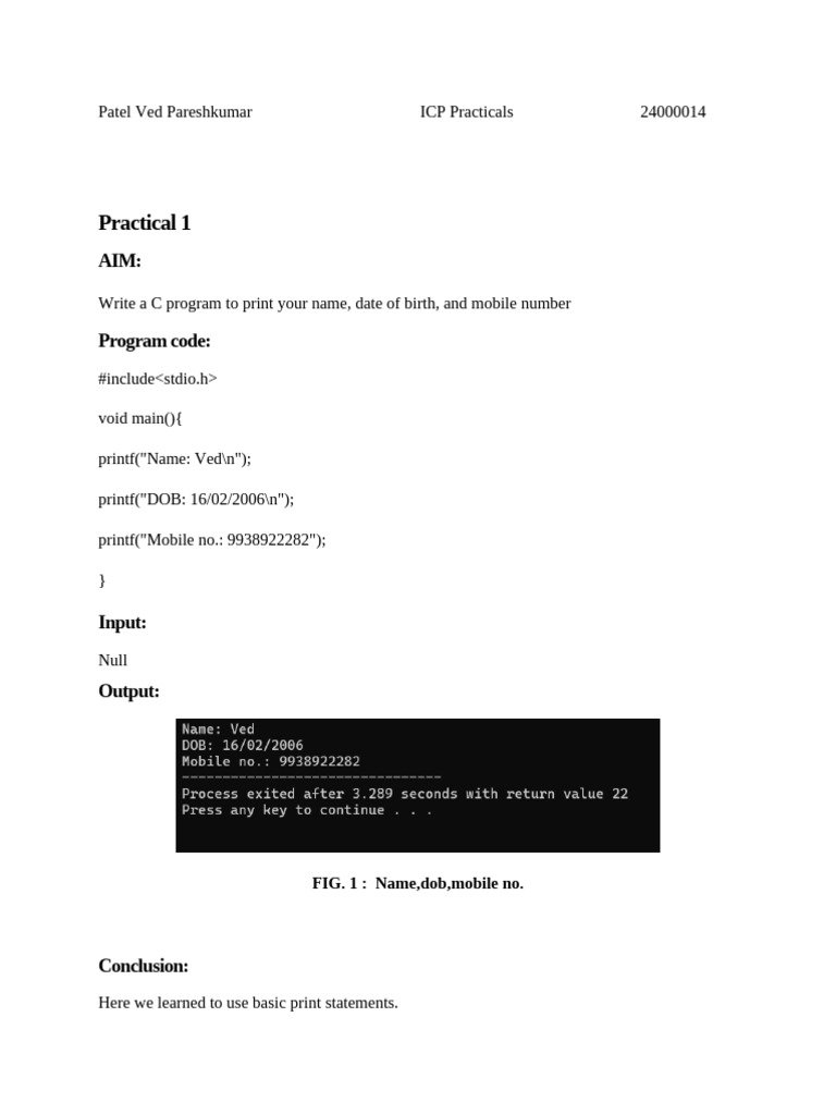 Patel Ved ICPlab | PDF | Computer Programming | Software Engineering