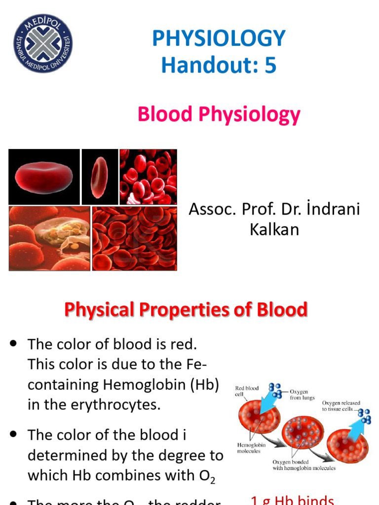 Handout 5 - Blood Physiology | PDF | Coagulation | Granulocyte