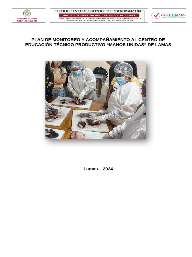 Plan de Monitoreo Cetpro Agosto 2024 | PDF | Enseñando | Maestros