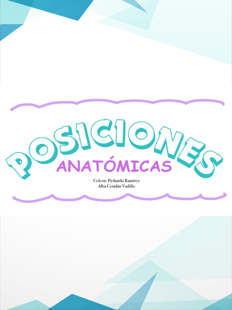 Posiciones Anatómicas | PDF | Rodilla | Abdomen