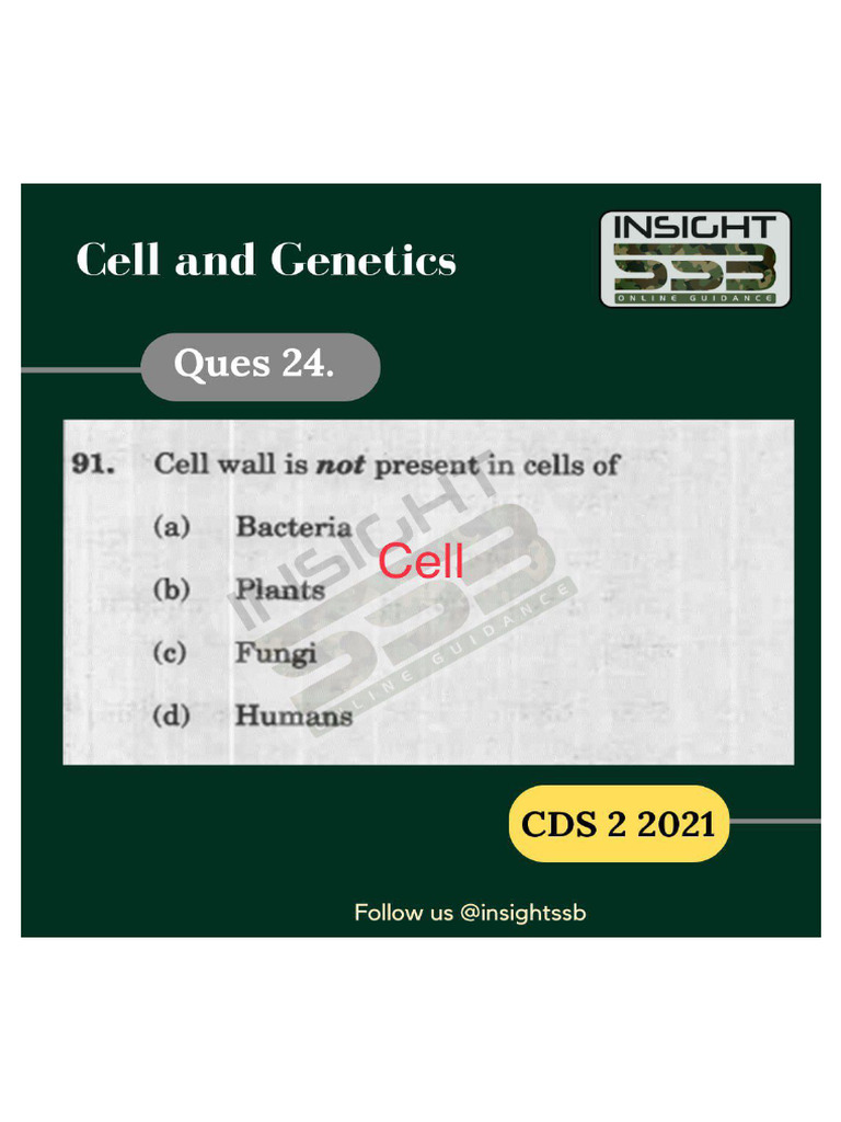 Cell 2 | PDF
