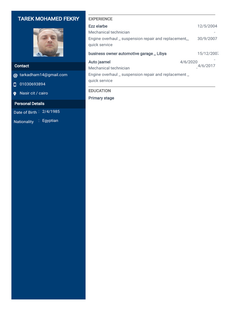 Tarek cv | PDF