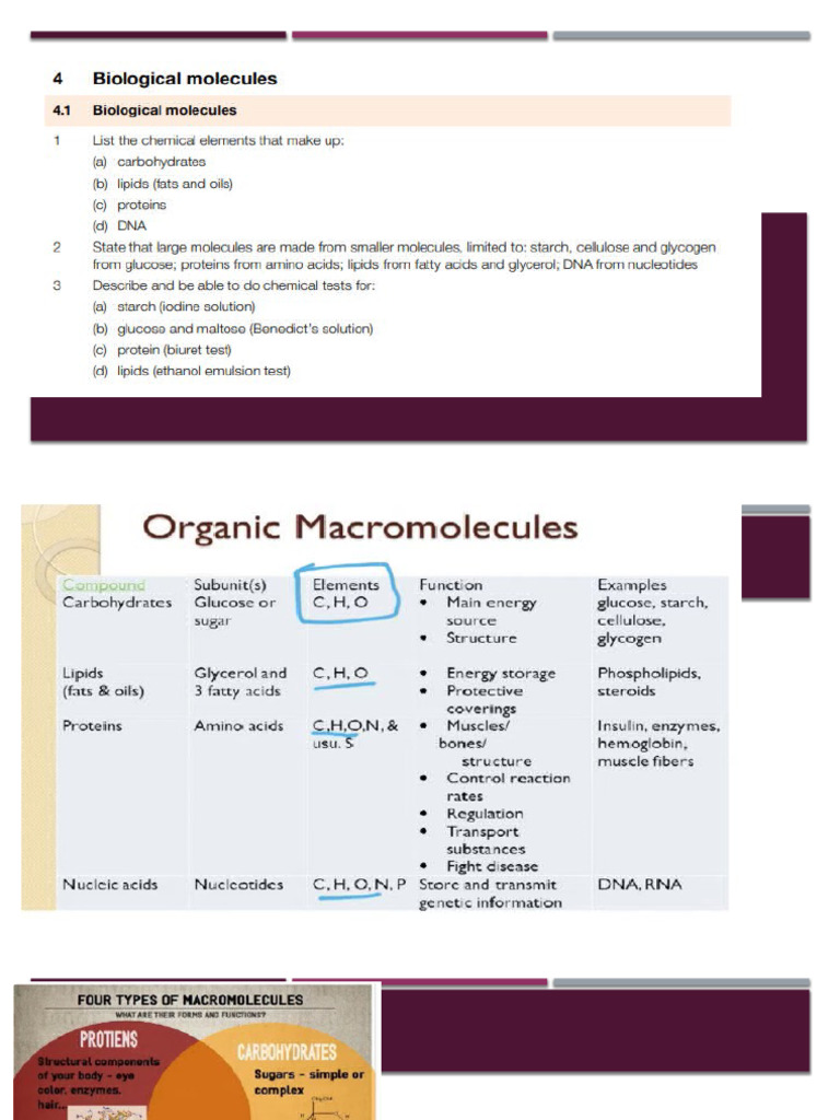 Cambridge Biology Chapter 4 | PDF | Biochemistry | Chemistry