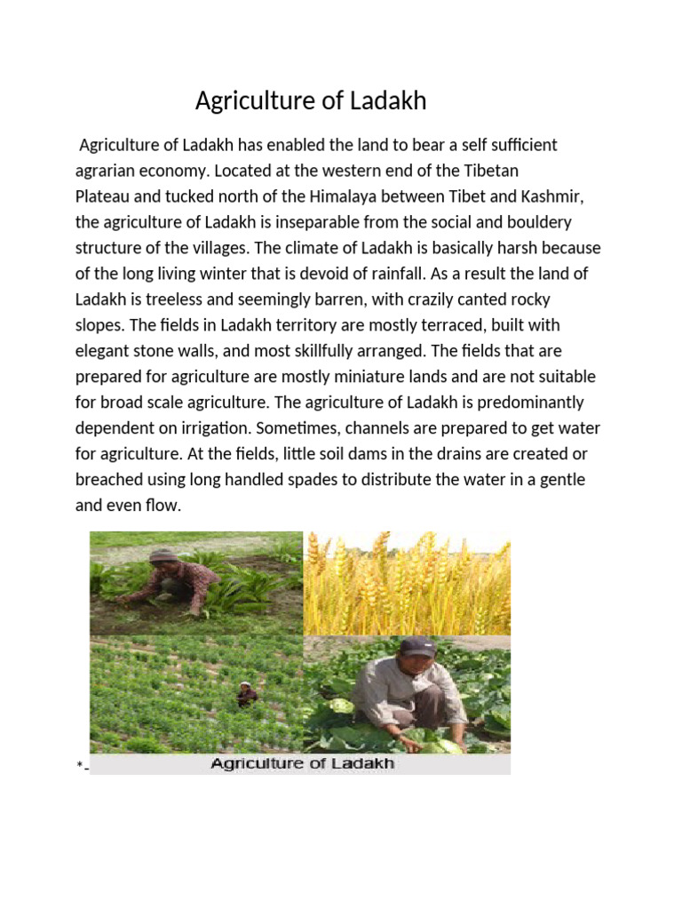 Agriculture of Ladakh Has Enabled The Land To Bear A Self Sufficient ...