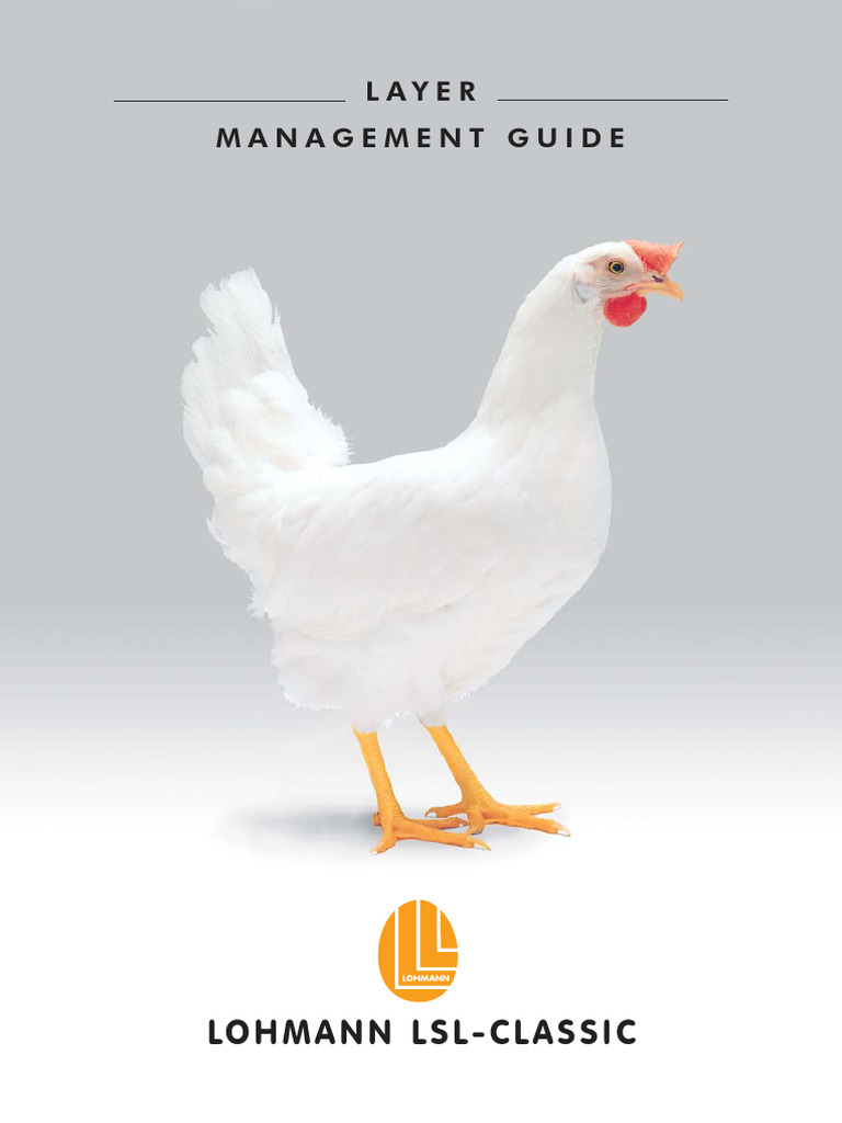 Layer and | PDF | Nutrients | Chicken