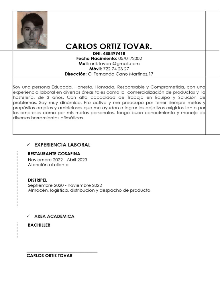 CV Carlos | PDF