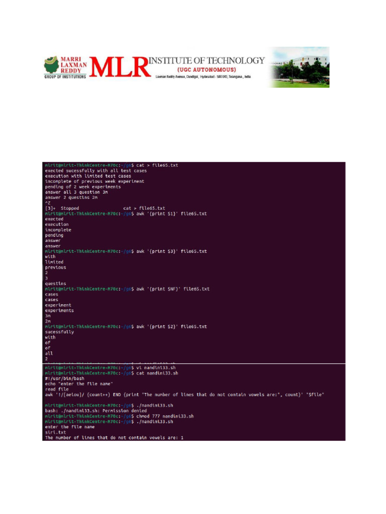 week 6 linux | PDF