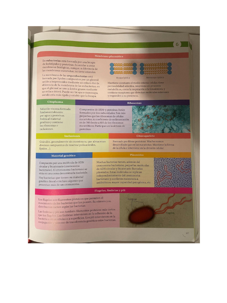 Documento Sin Tã - Tulo | PDF