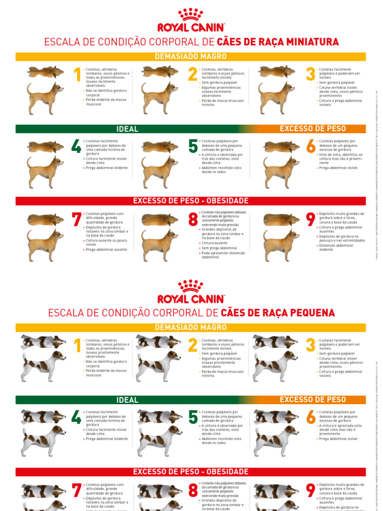 Condição corporal de cães e gatos por porte | PDF | Coluna vertebral | Cães