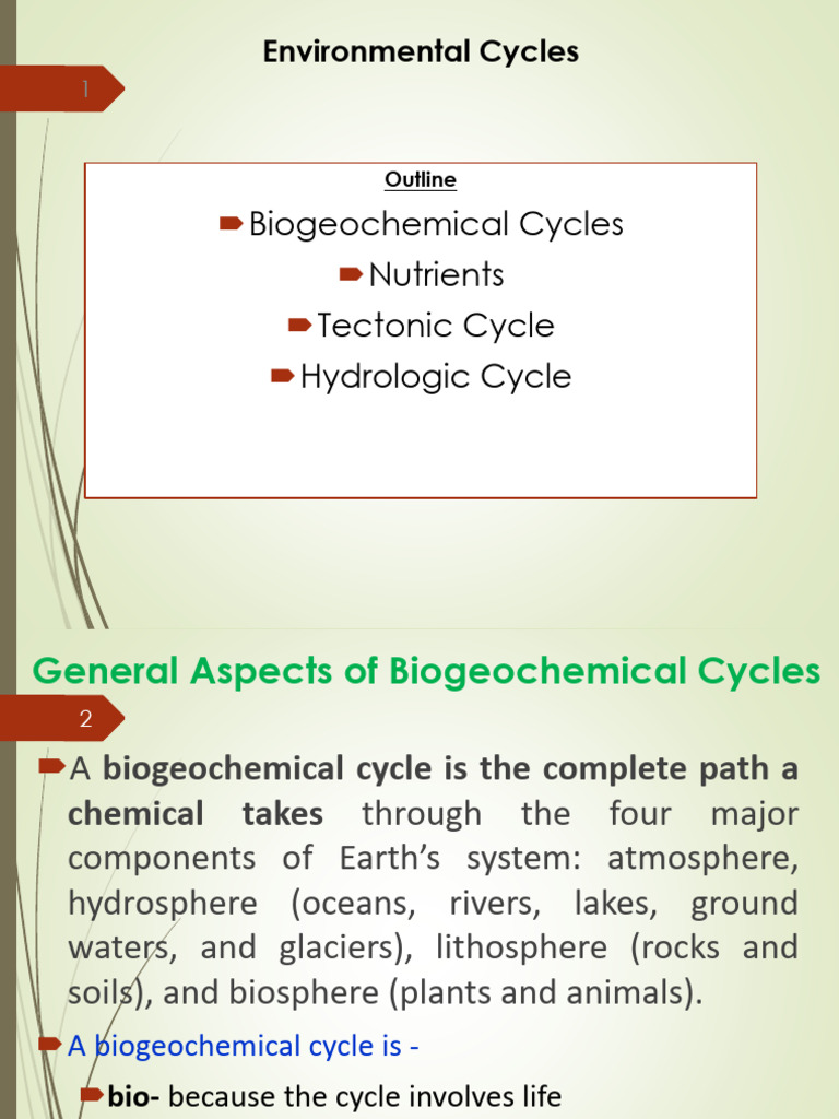 Biogeochemical Cycles | PDF | Plate Tectonics | Life