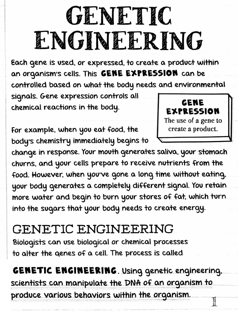Genetic Engineering Reading | PDF