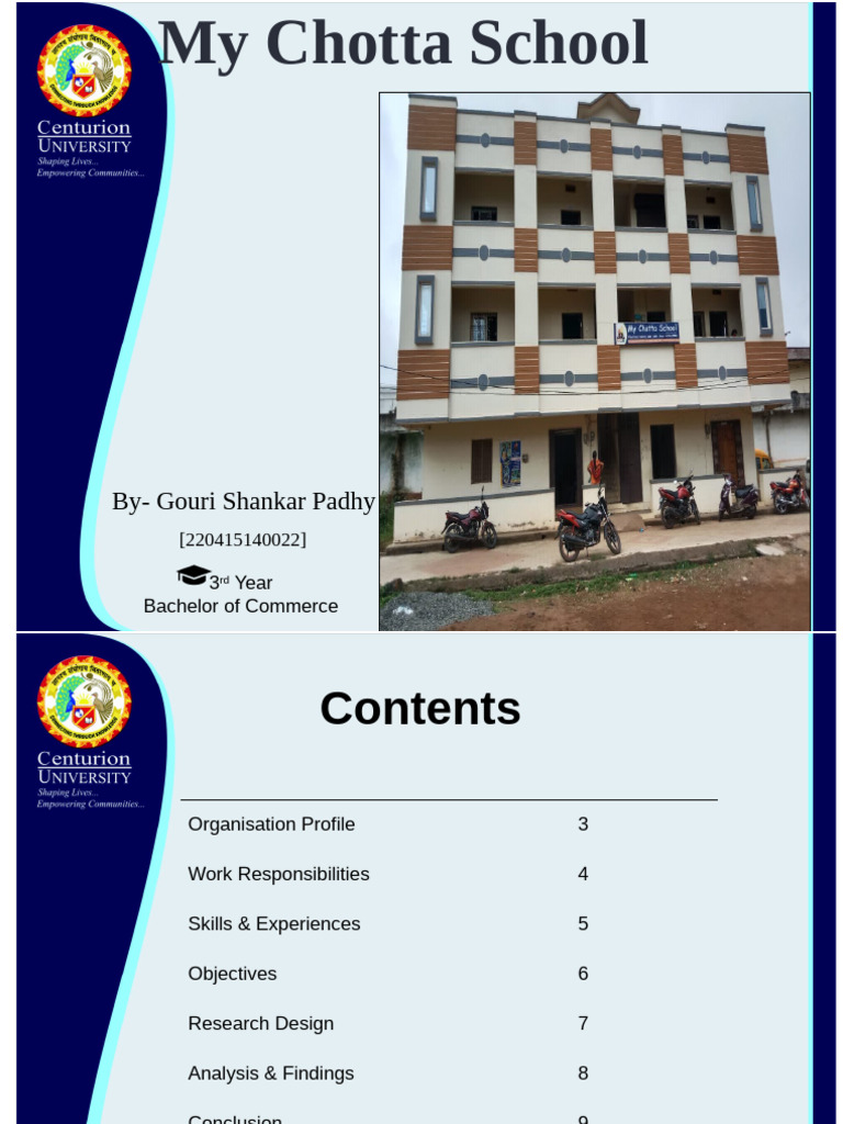 Long Term Internship Program | PDF | Business