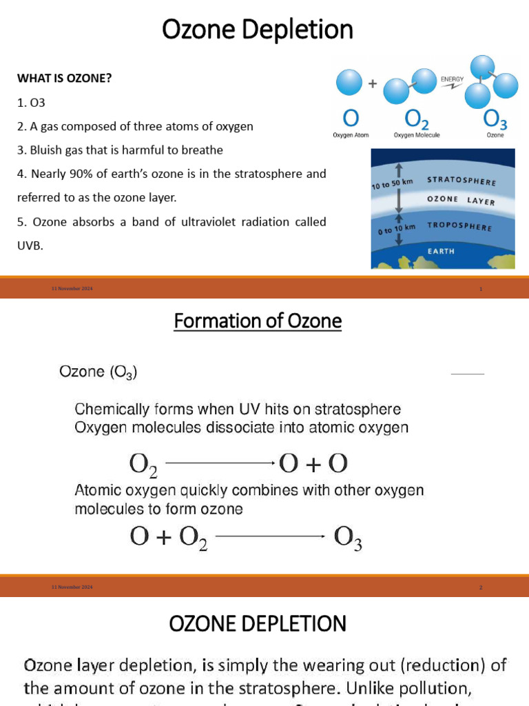 Ozone Depletion | PDF