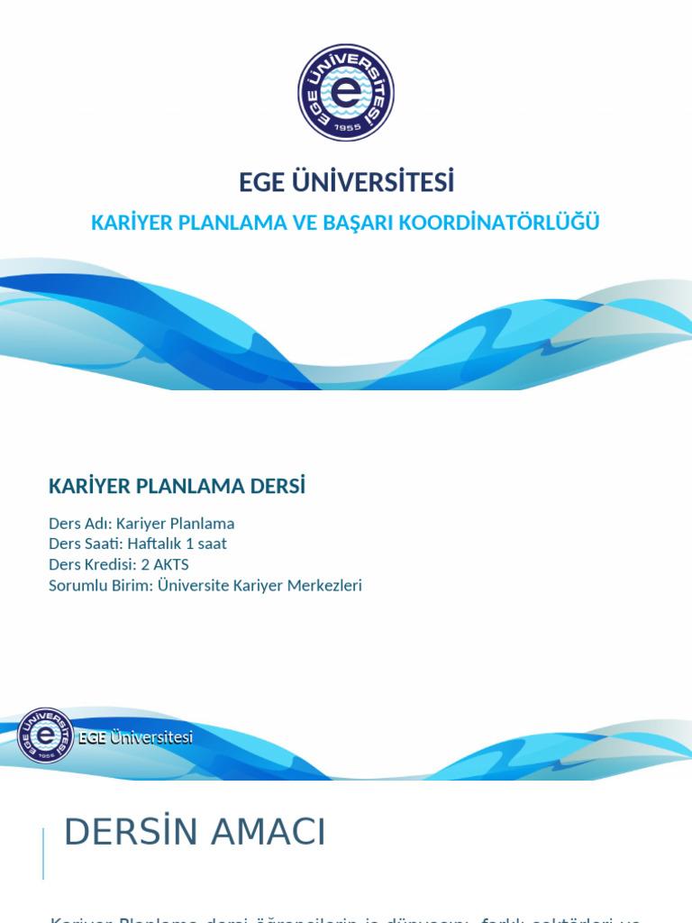 1-Kariyer Nedir | PDF