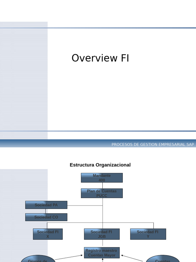 Overview FI SAP R3 | PDF | Activo fijo | Economias