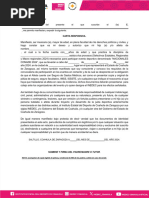 Carta Responsiva de Menor de Edad | PDF | Invalidez | Menor (ley)