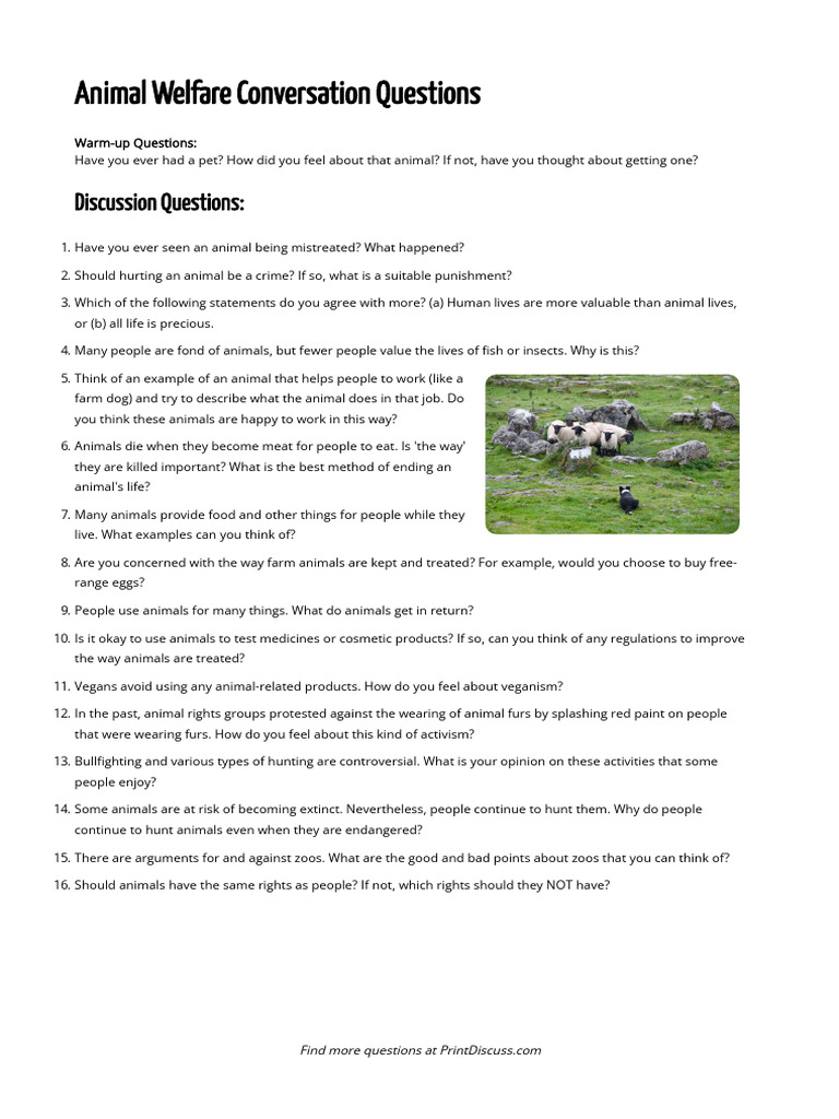 Animal Welfare Discussion Questions Guide | PDF | Lifestyle